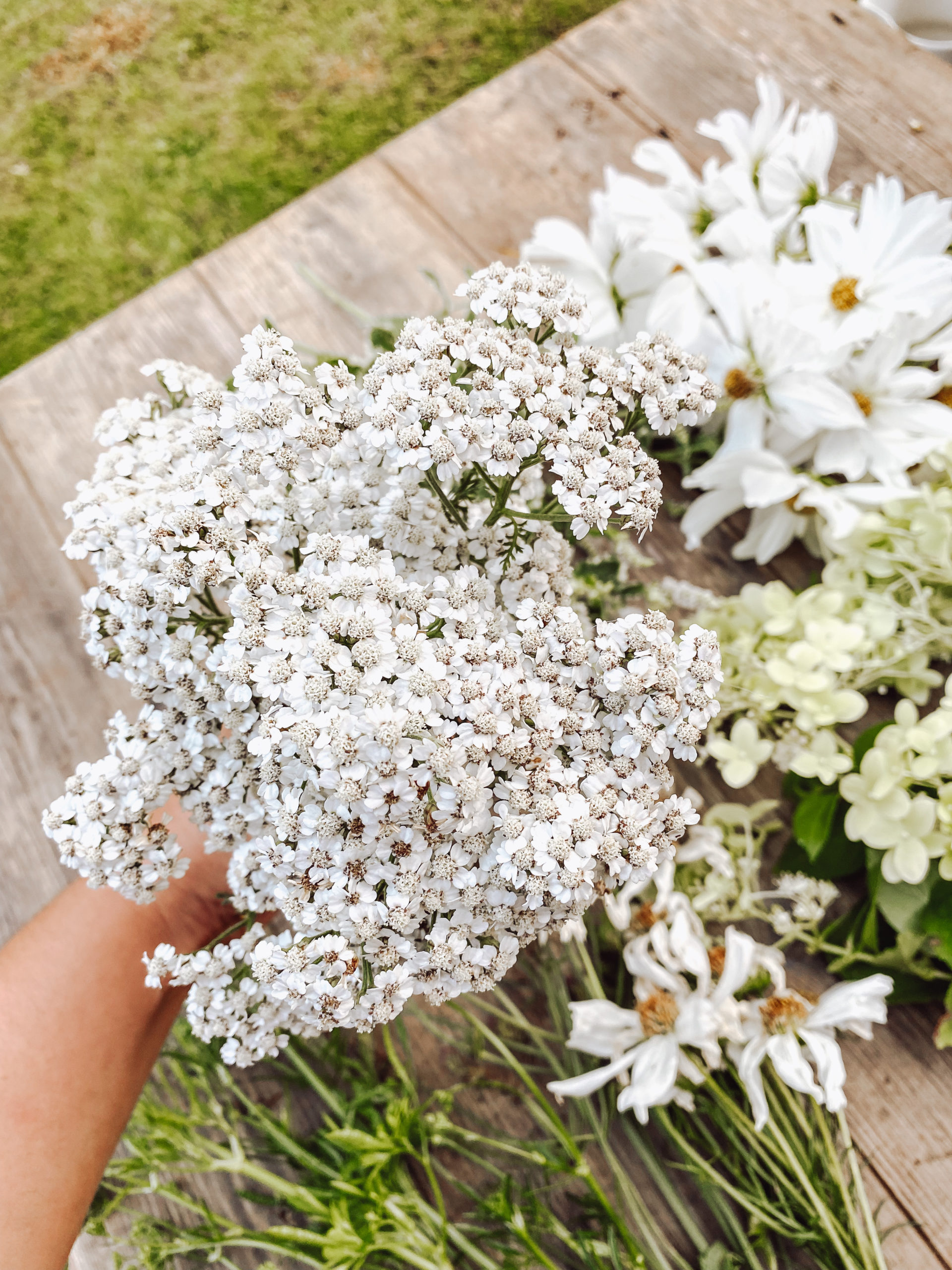 HOW TO DRY SUMMER FLOWERS – Making Home Matter